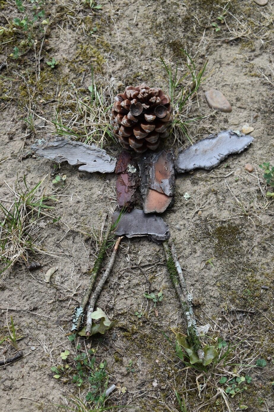 Fabriquer des bonhommes et des animaux avec des éléments de la nature ...