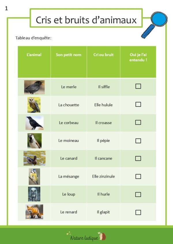 Cris et bruits d’animaux : les noms à connaître - Boutique Nature Ludique