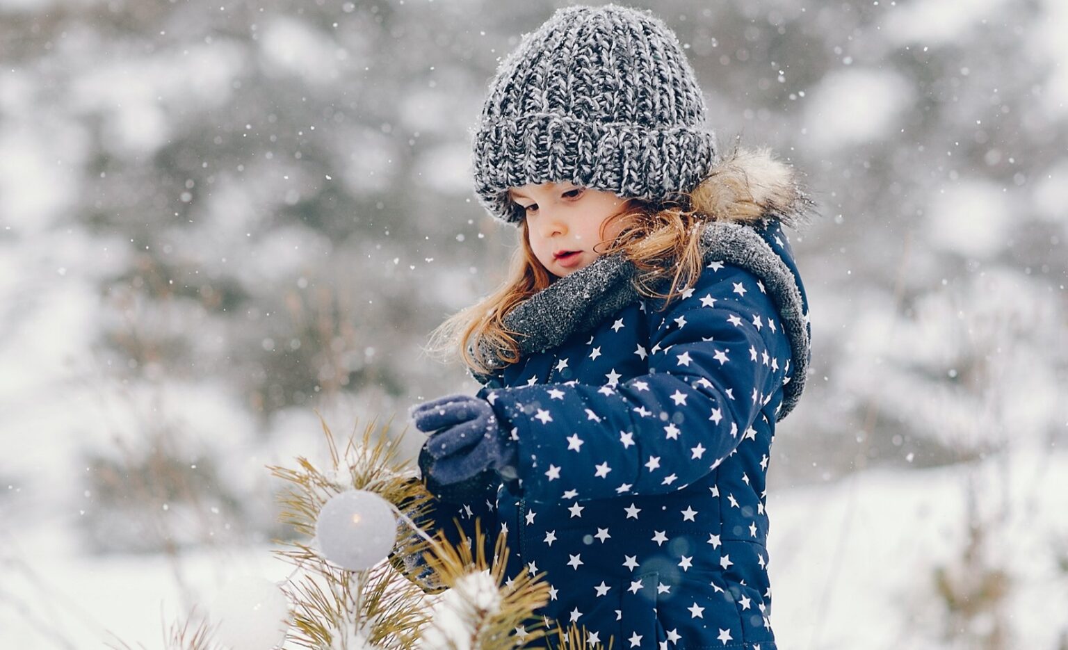 Pack Noël et Hiver - Boutique Nature Ludique